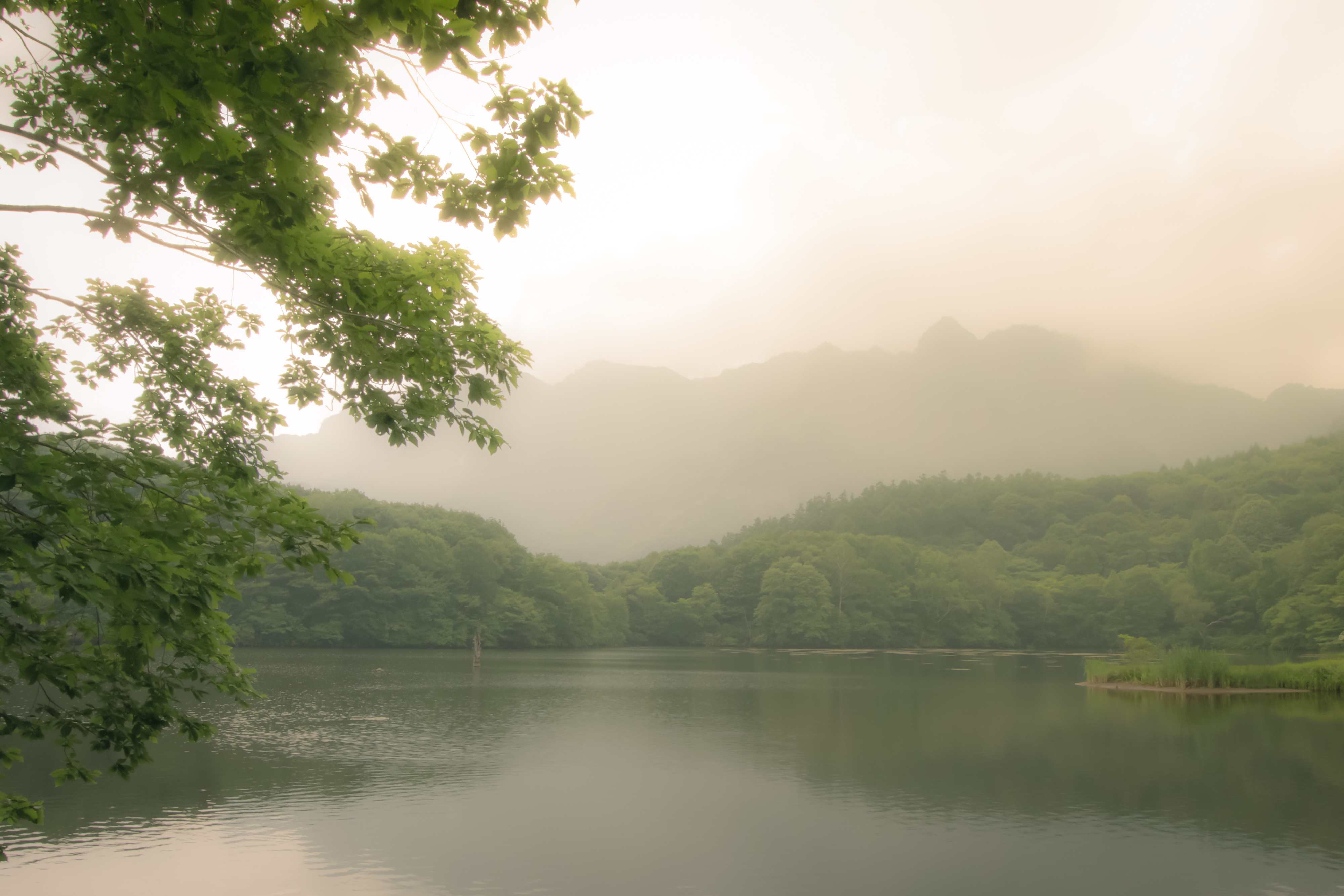 The Monks & The River - Jack Kornfield